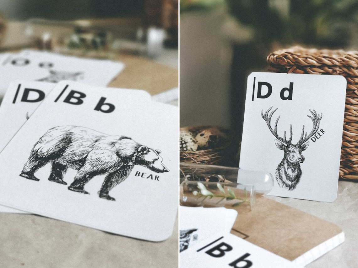 English Alphabet Cards Printable Flash Cards Woodland - Etsy