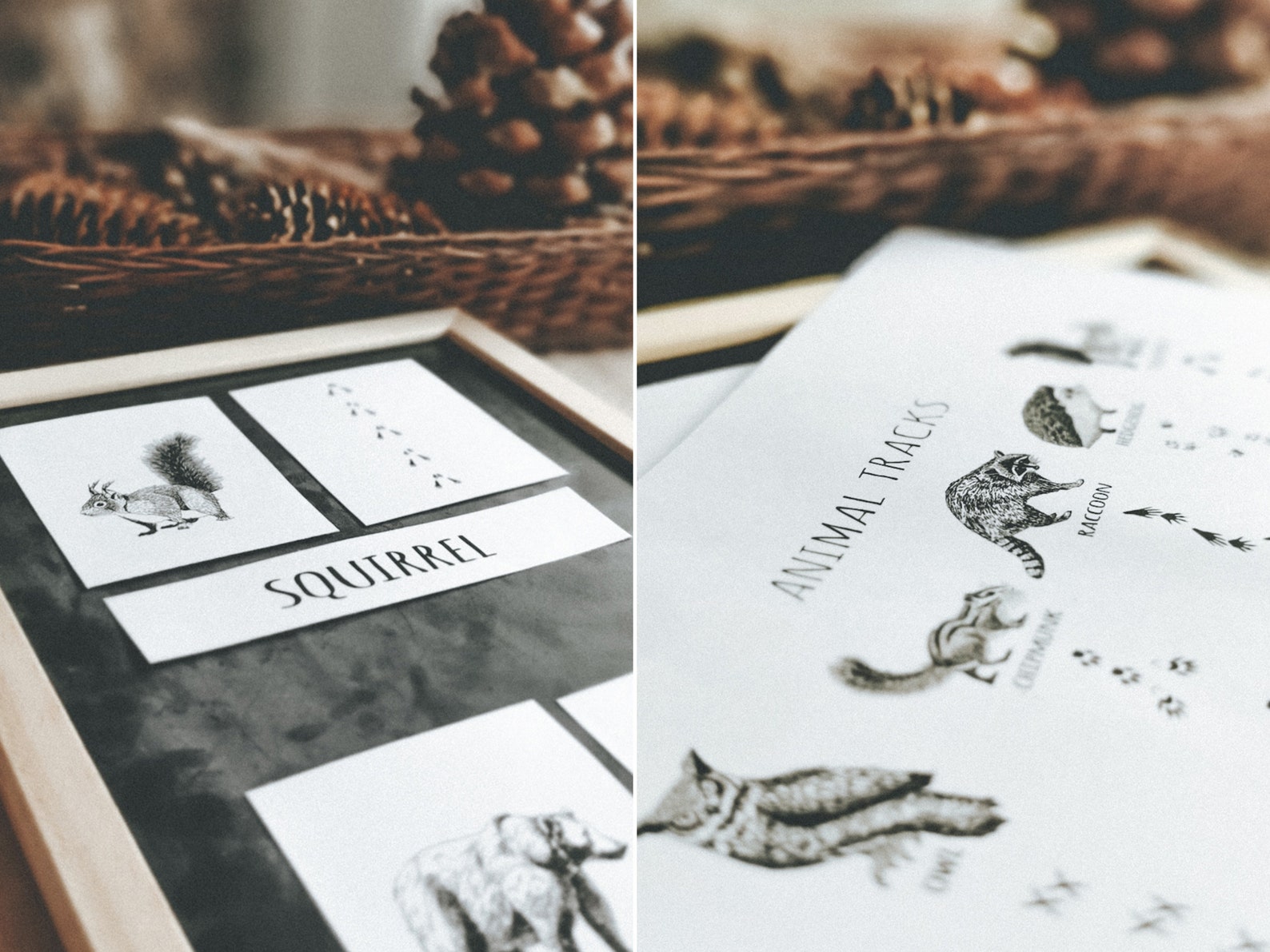 Printable Animal Tracks Print Cards Forest Animal Tracks - Etsy