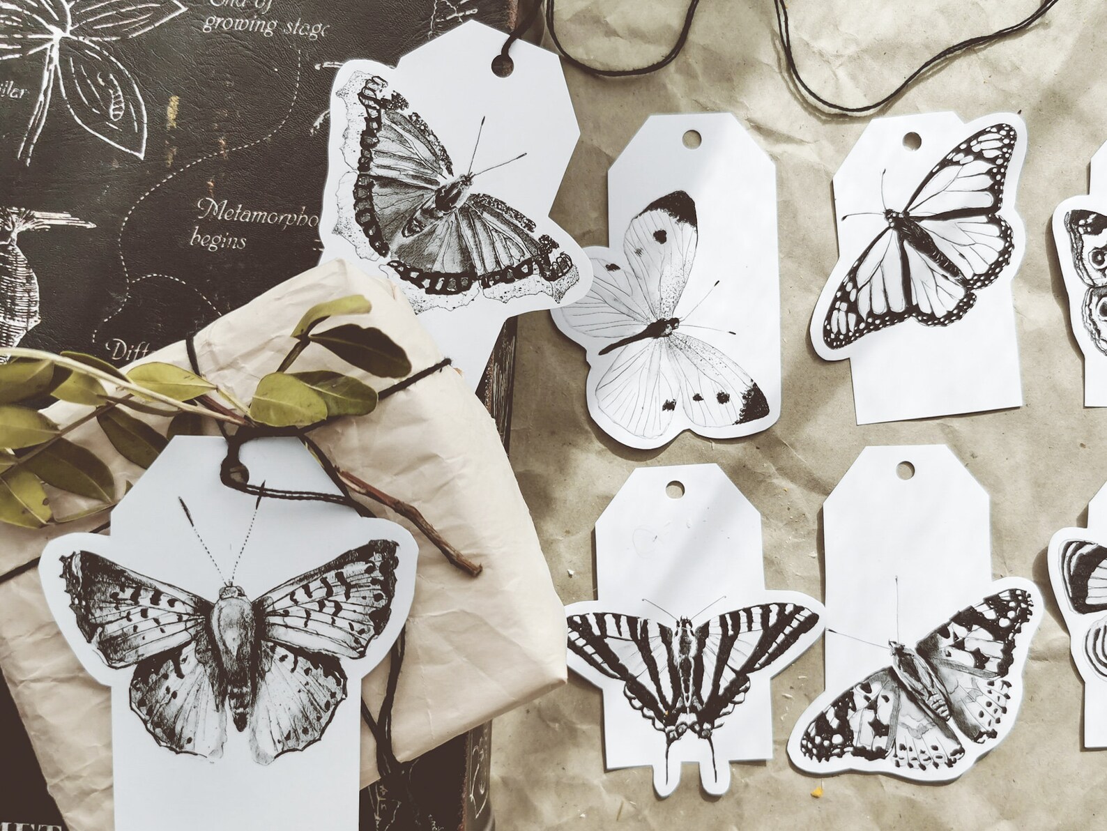 Set of 8 Butterfly Gift Tags Instant Download | Etsy