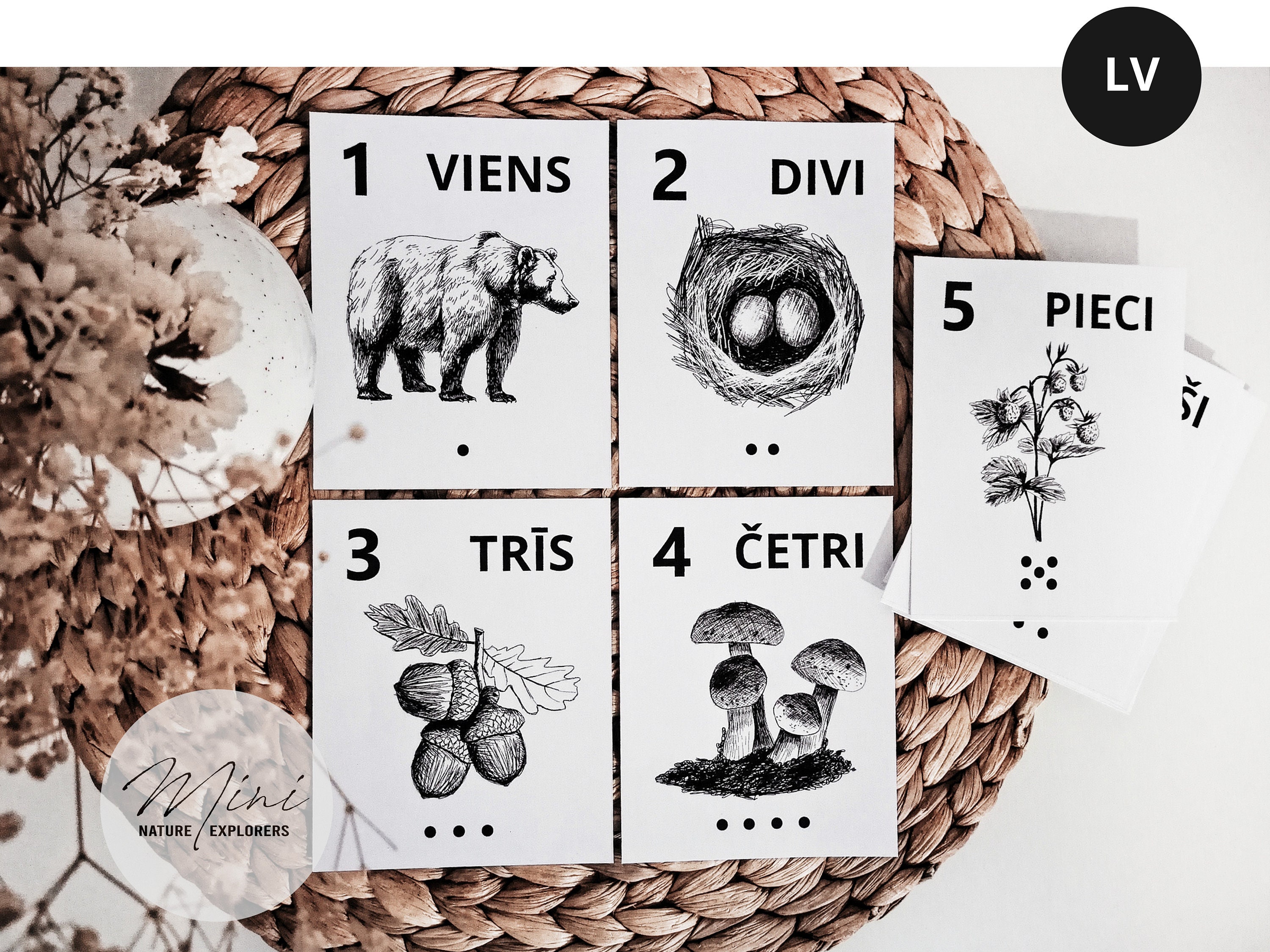 Latvian alphabet & numbers flash cards Homeschool printables | Etsy