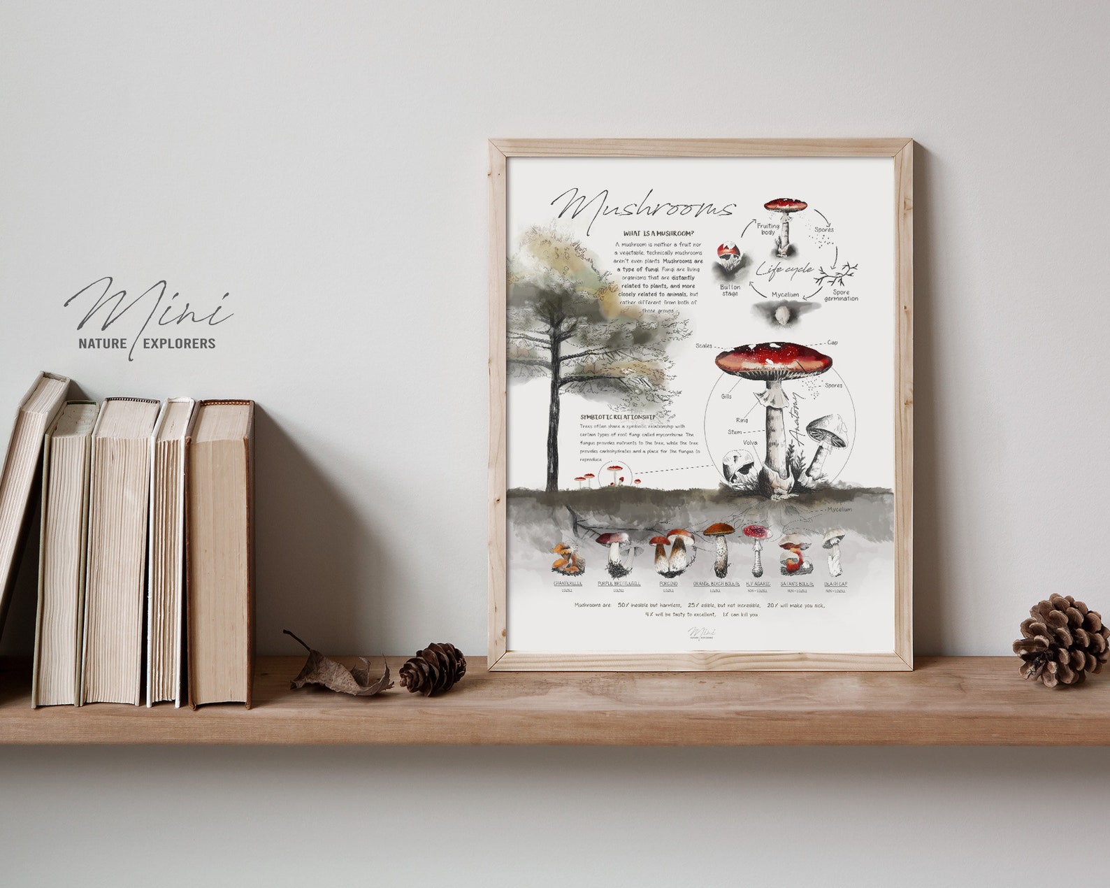 Educational Mushroom Wall Art, Homeschool Decor, Printable Classroom ...