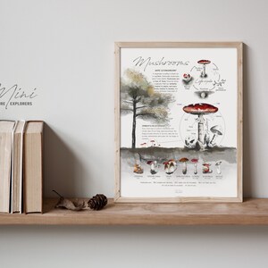 Educational Mushroom Wall Art, Homeschool Decor, Printable Classroom ...