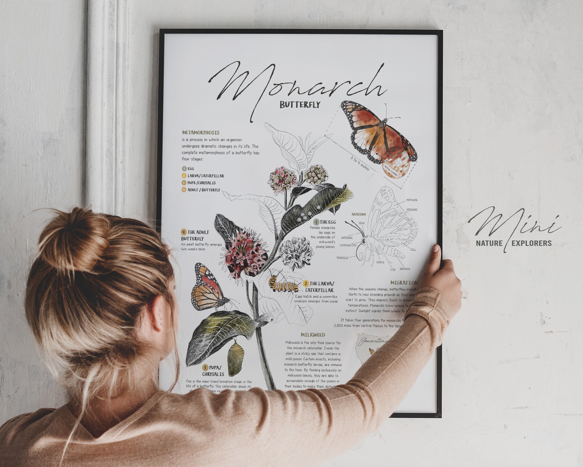 Educational Monarch Butterfly Print for Classroom Printable | Etsy