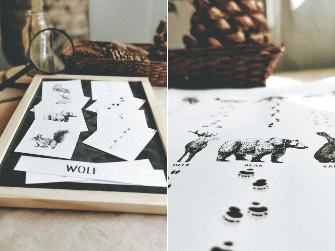 Printable Animal Tracks Print Cards Forest Animal Tracks - Etsy