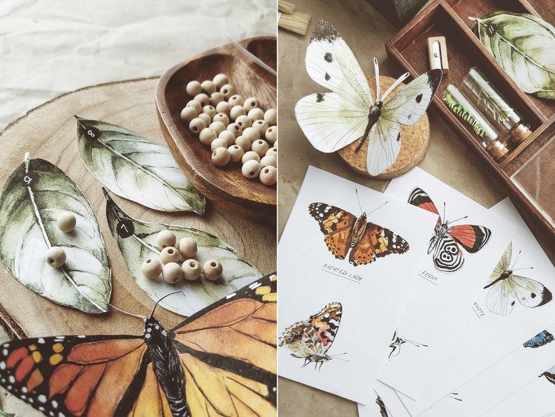 Monarch Butterfly Unit Study 42 Pages - Etsy