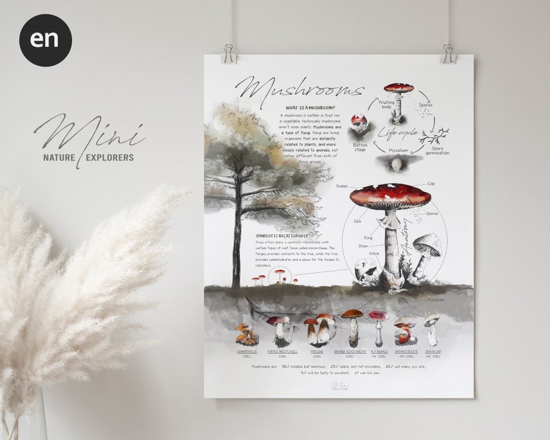 Educational Mushroom Wall Art, Homeschool Decor, Printable Classroom ...