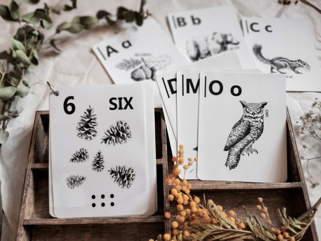 Alphabet & Numbers Flash Cards, Homeschool Printables, Montessori ...