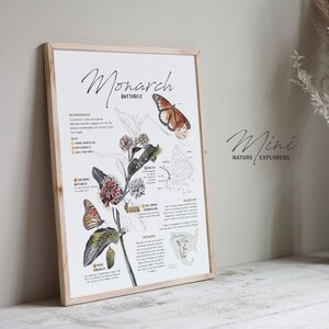 Educational Monarch Butterfly Print for Classroom, Printable ...