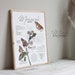 Educational Monarch Butterfly Print for Classroom Printable - Etsy