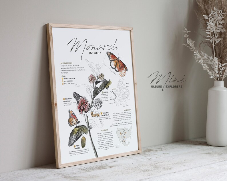 Educational Monarch Butterfly Print for Classroom Printable | Etsy