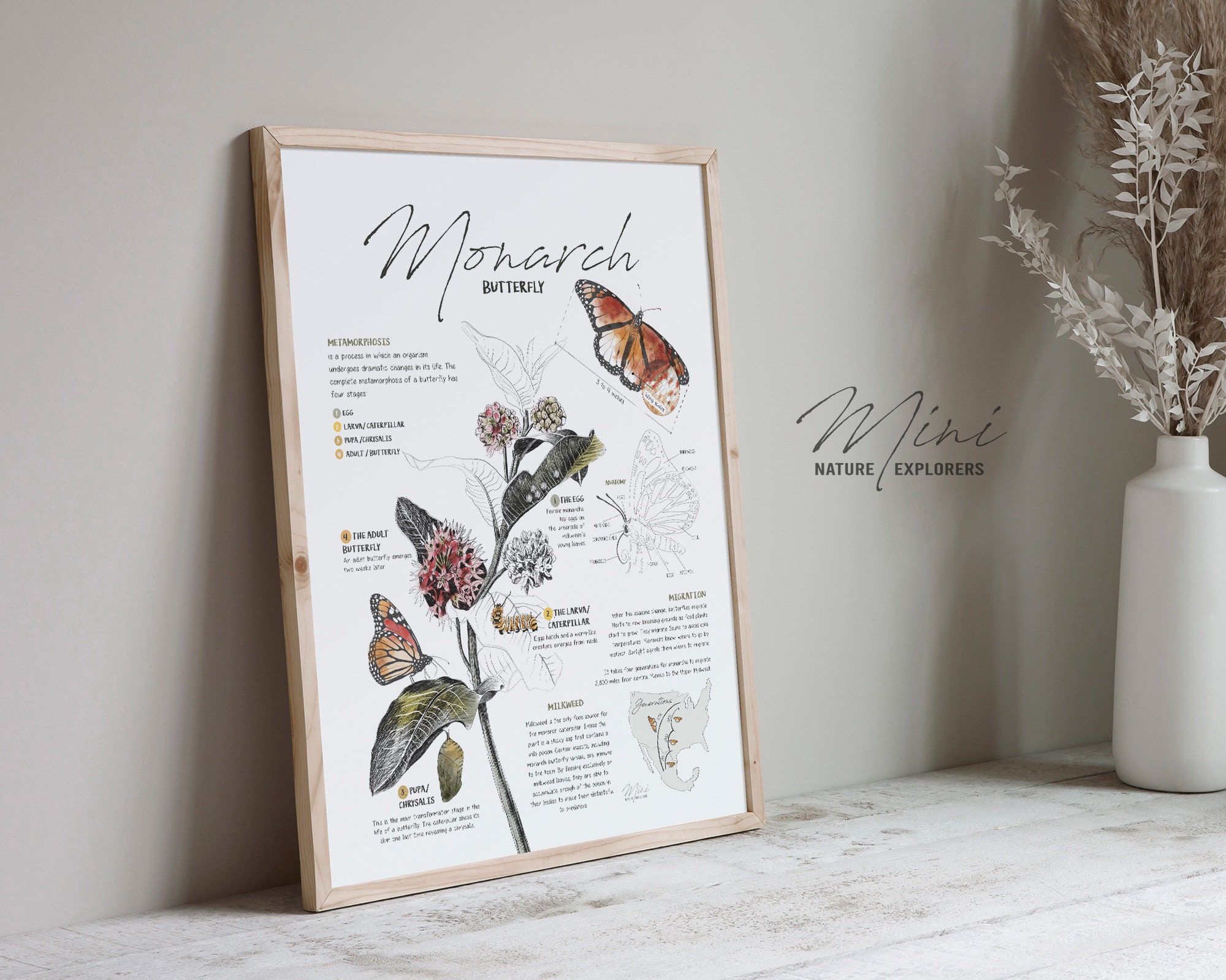 Educational Monarch Butterfly Print for Classroom Printable | Etsy