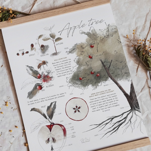 Educational Wall Art - Etsy