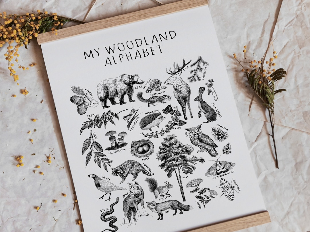 Forest Animal Print, Homeschool Wall Art, Playroom Alphabet, Forest ...