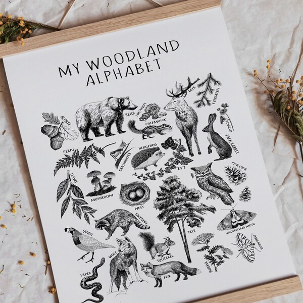 Forest Theme Nursery - Etsy