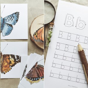 Monarch Butterfly Unit Study - 42 Pages - Etsy