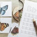 Monarch Butterfly Unit Study 42 Pages - Etsy