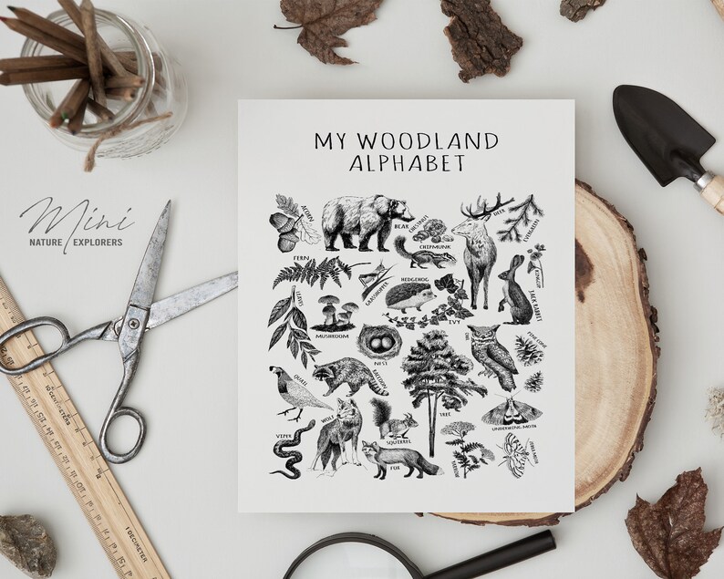 Forest Animal Print Homeschool Wall Art Playroom Alphabet | Etsy