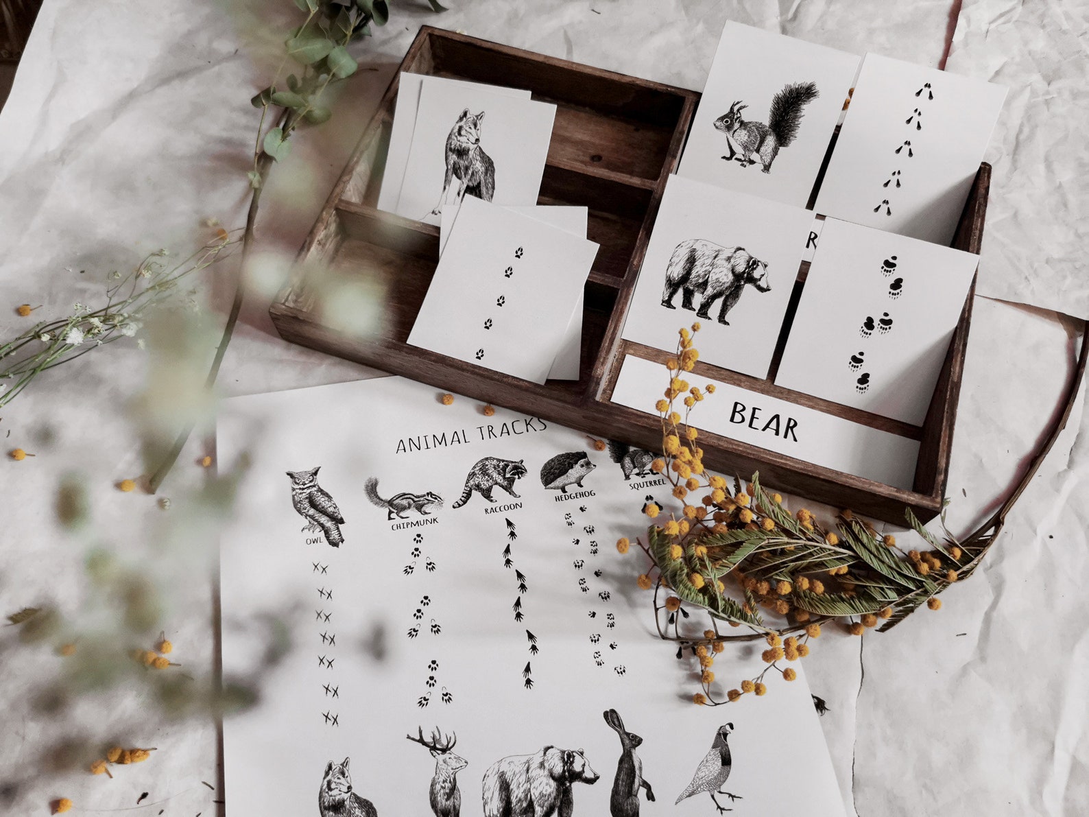 Printable Animal Tracks Print Cards Forest Animal Tracks - Etsy