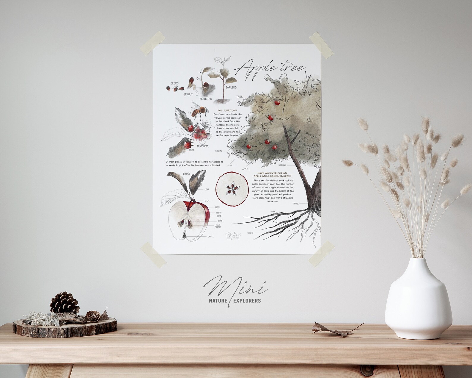 Educational Apple Tree Print for Classroom Printable - Etsy