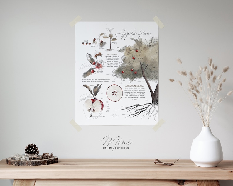 Educational Apple Tree Print for Classroom Printable - Etsy