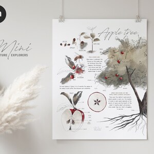 Educational Apple Tree Print for Classroom, Printable Homeschooling ...