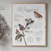 Educational Monarch Butterfly Print for Classroom, Printable ...