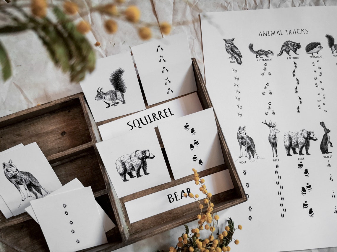 Printable Animal Tracks Print Cards Forest Animal Tracks - Etsy