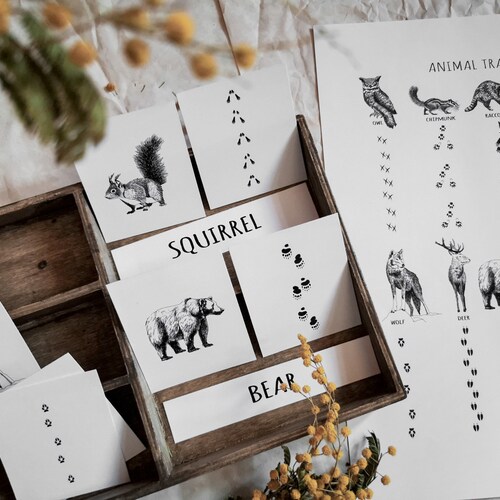 Printable Animal Tracks Print Cards Forest Animal Tracks - Etsy