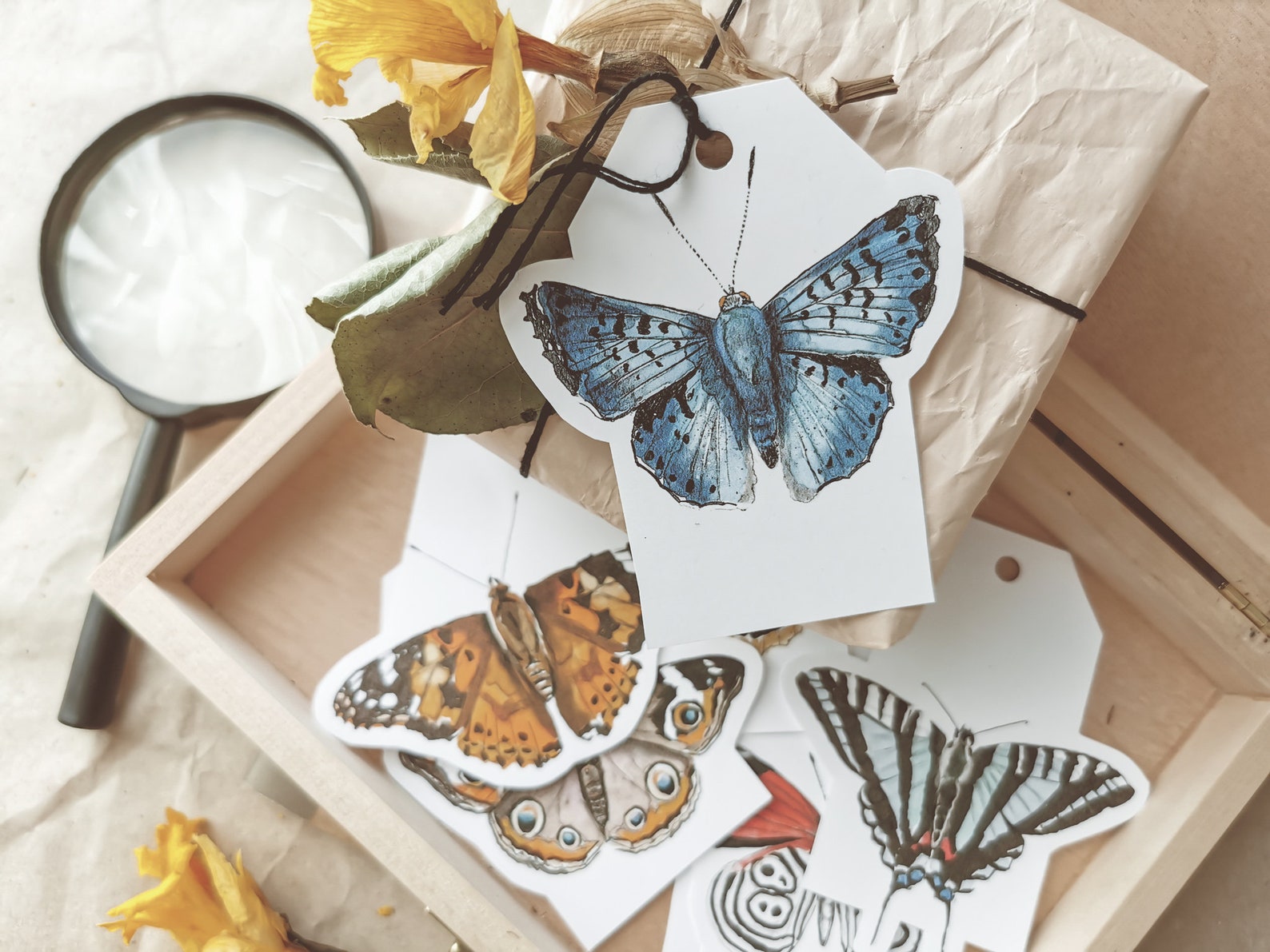 Set of 8 Butterfly Gift Tags Instant Download - Etsy