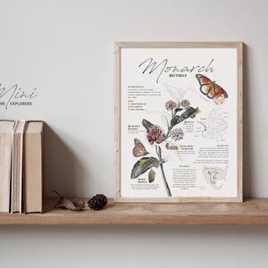 Educational Monarch Butterfly Print for Classroom, Printable ...