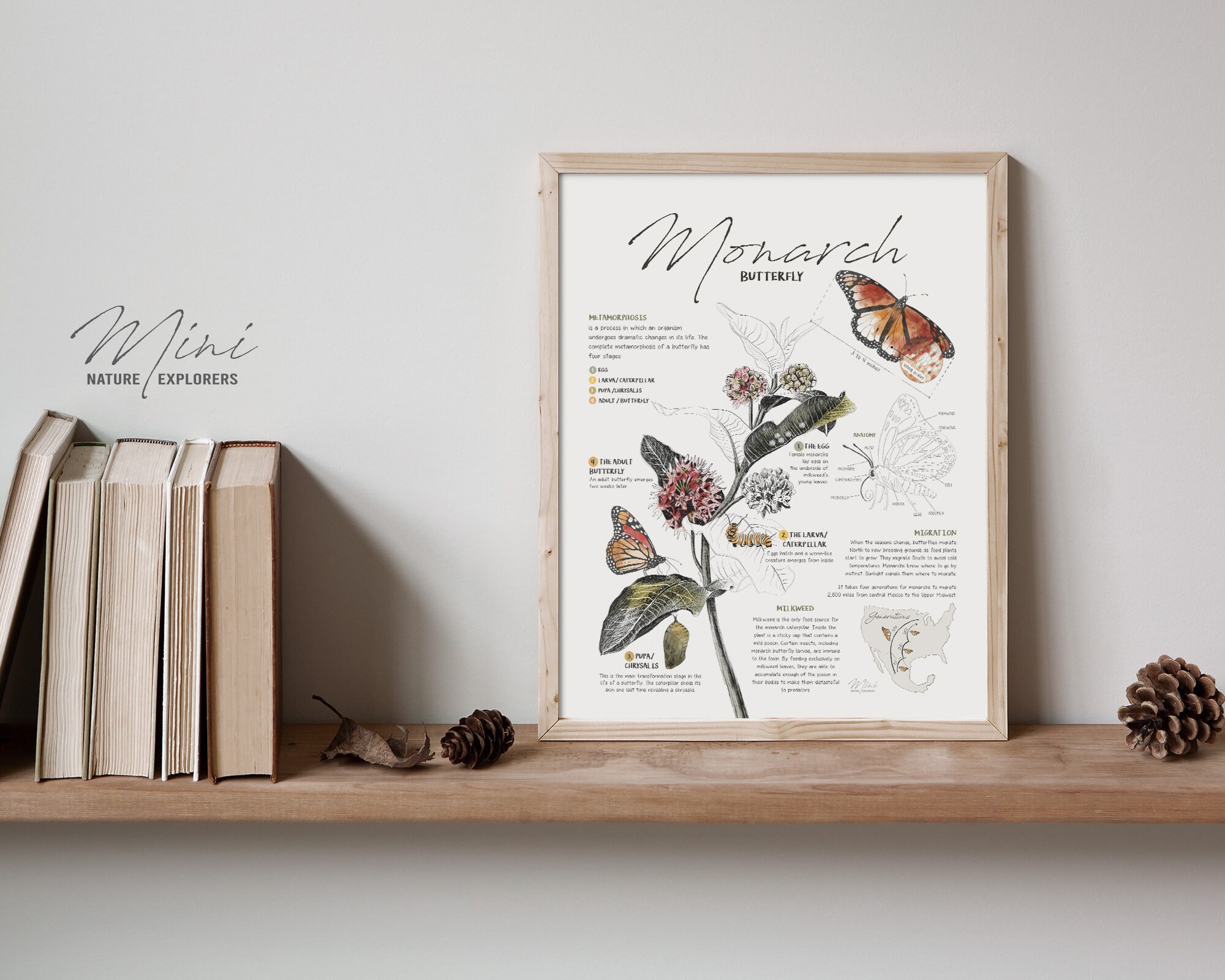Educational Monarch Butterfly Print for Classroom Printable | Etsy