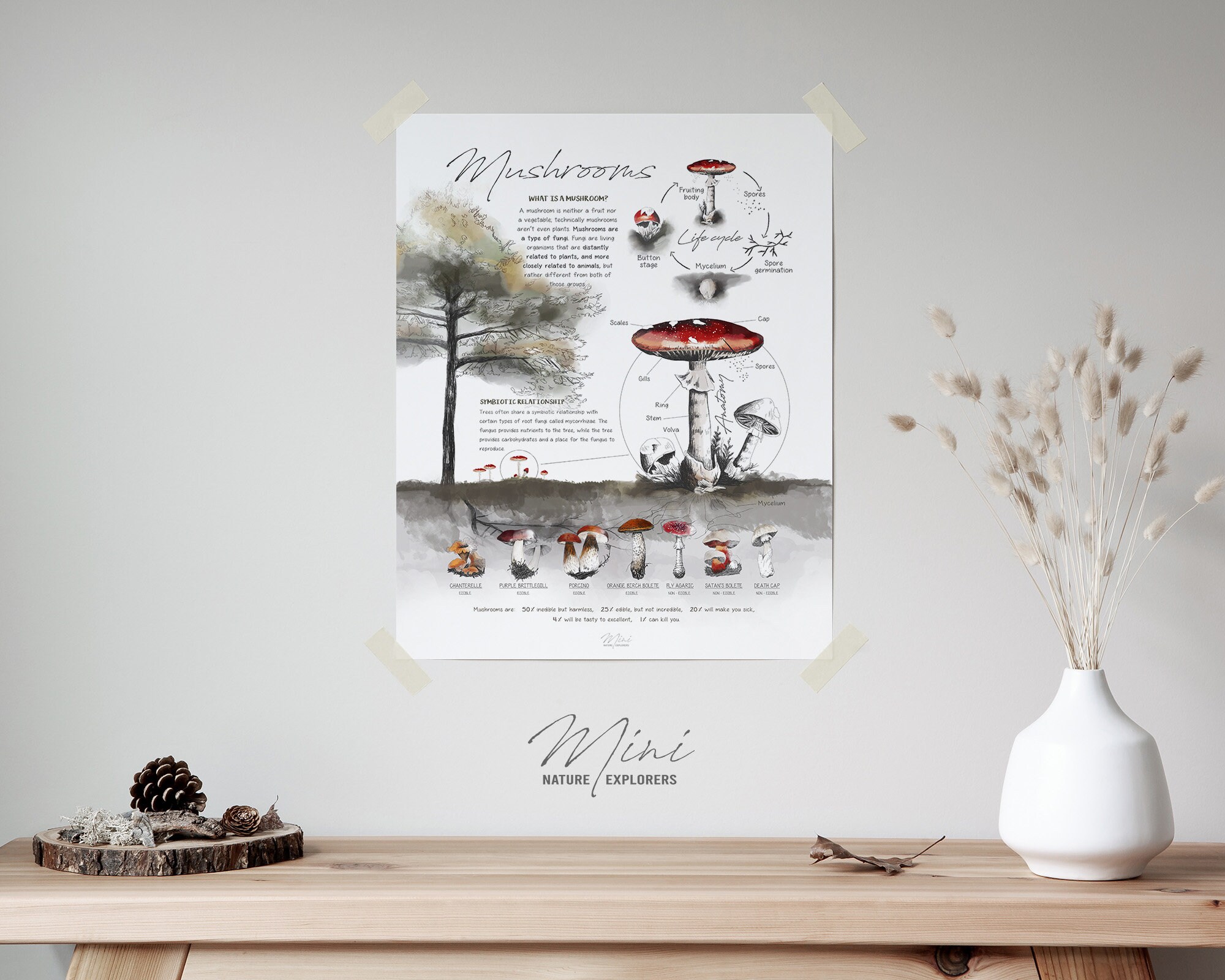Educational Mushroom Wall Art, Homeschool Decor, Printable Classroom ...