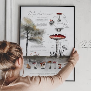 Educational Mushroom Wall Art, Homeschool Decor, Printable Classroom ...