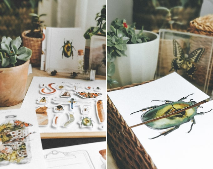 Minibeast Unit Study 66 Pages - Etsy