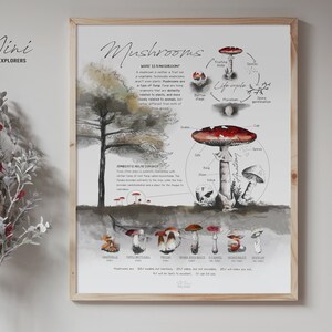 Educational Mushroom Wall Art, Homeschool Decor, Printable Classroom ...