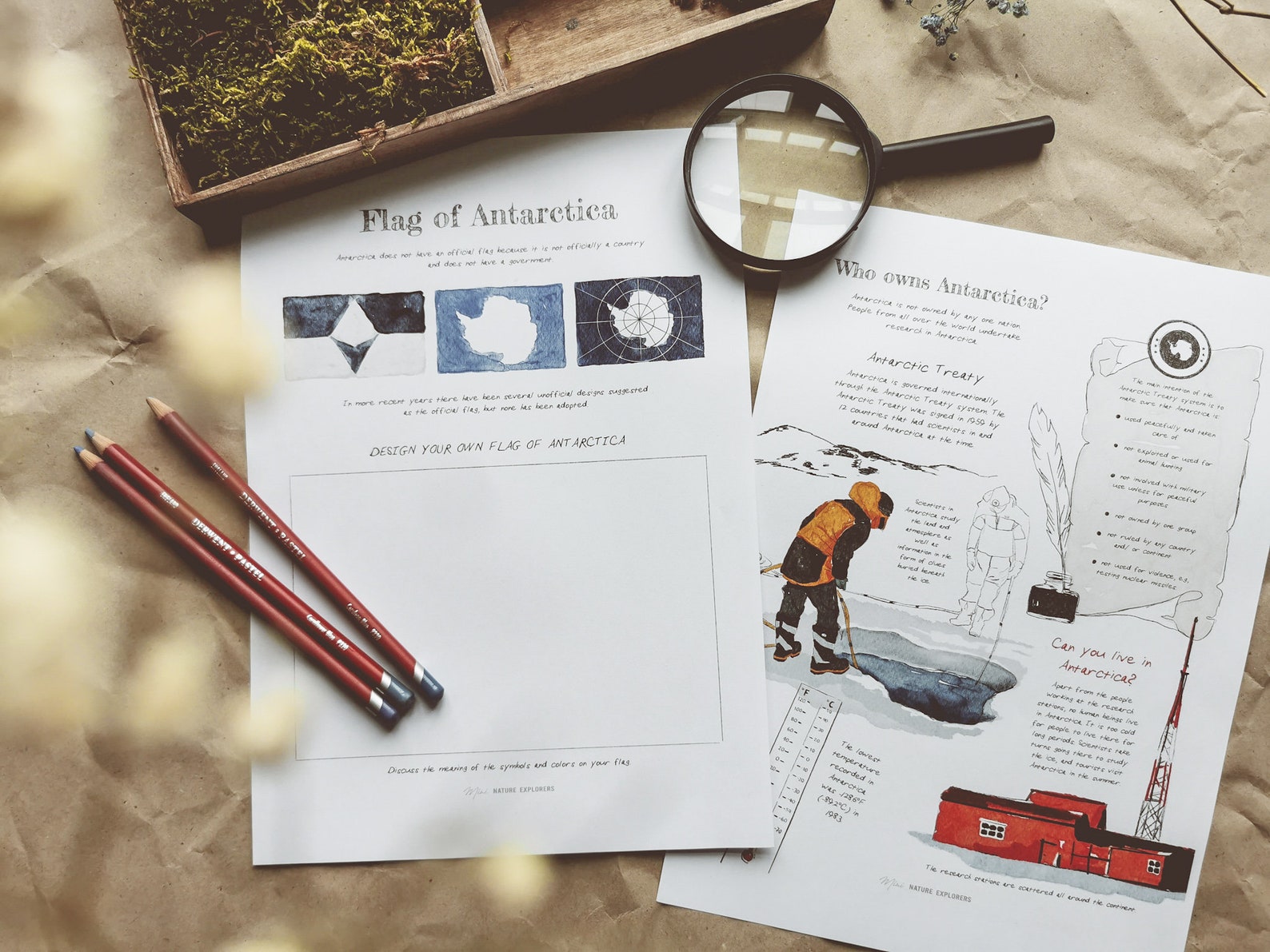 Antarctica Unit Study - Etsy