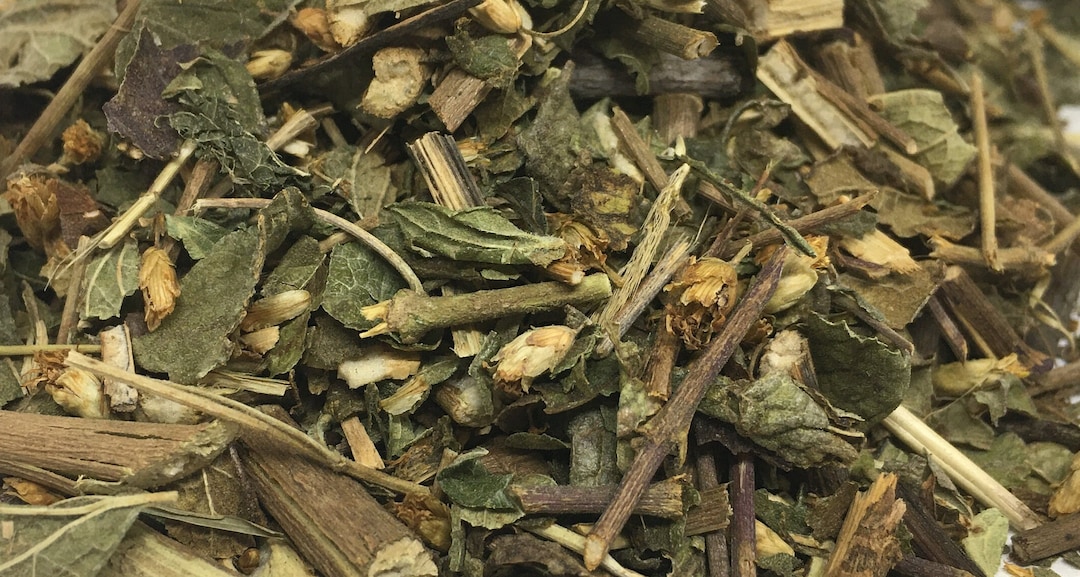 Prodigiosa Herb Cut, Brickellia Grandiflora, Retail and Bulk - Etsy