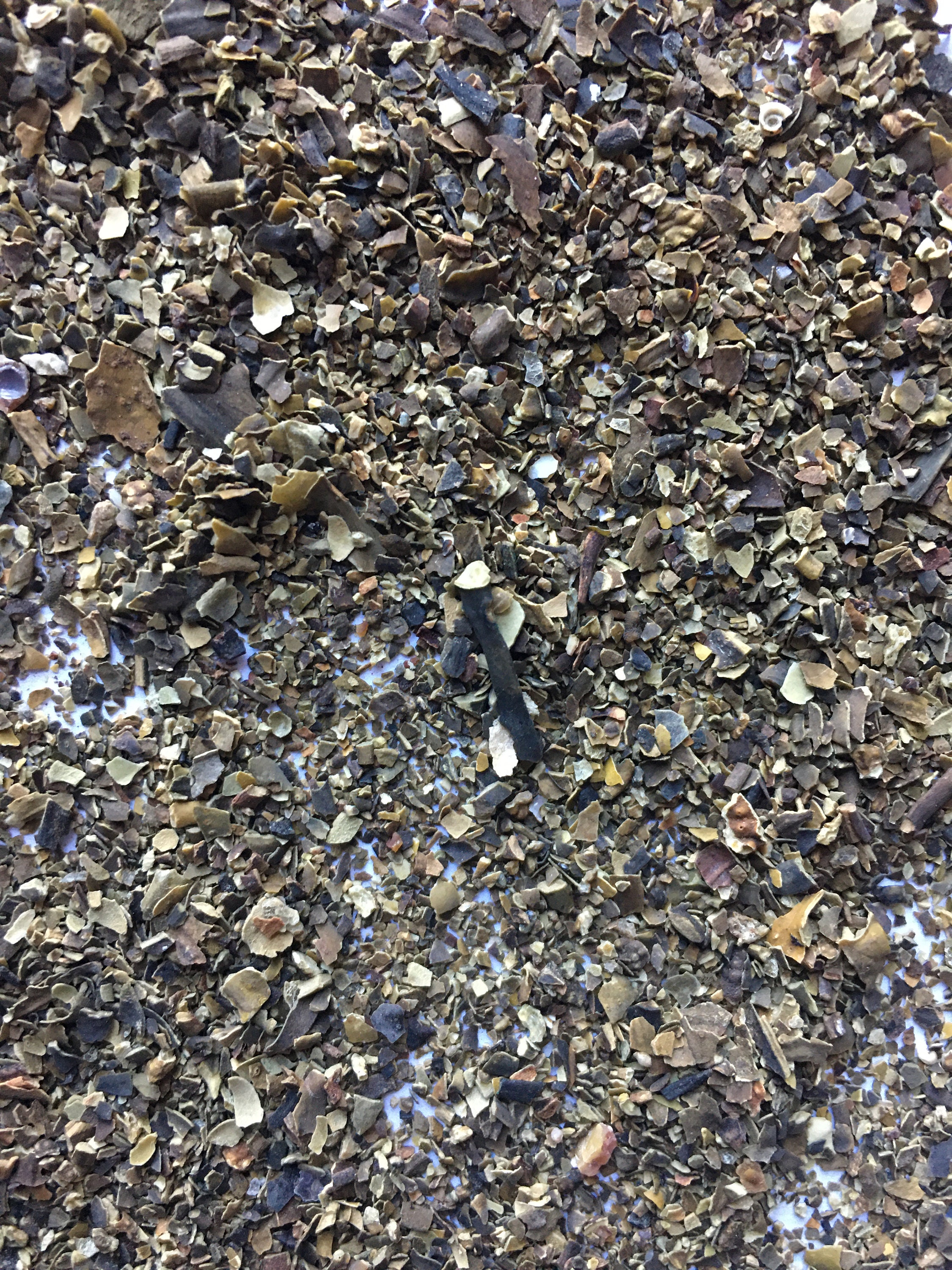 Bladderwrack Dried Cut Organic Fucus Vesiculosus Alkaline - Etsy