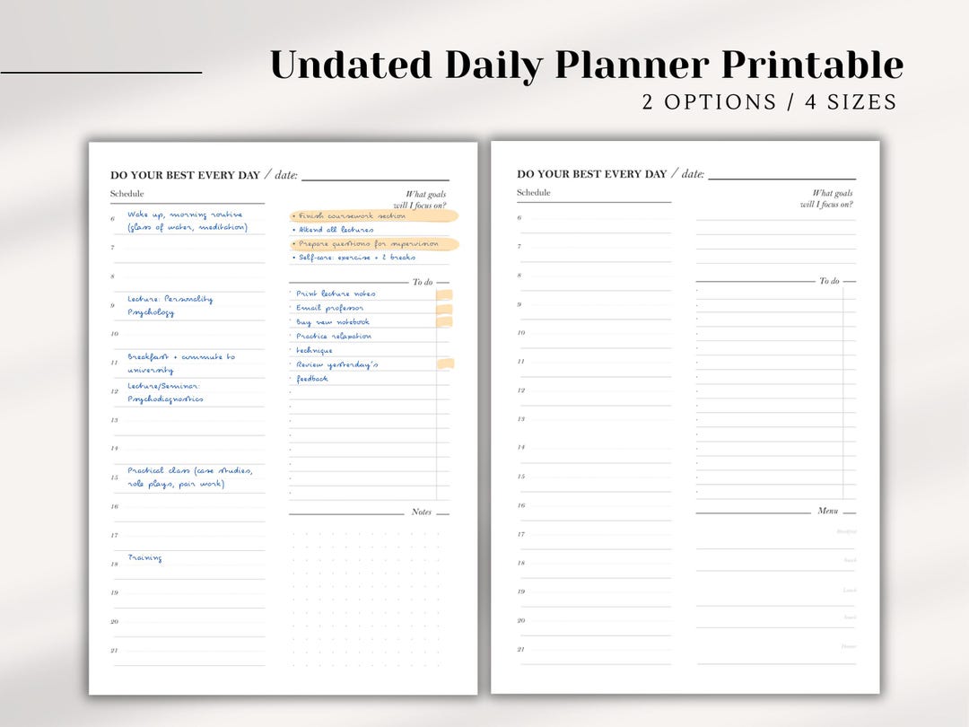 Daily Planner Printable PDF | A4 A5 Letter Half Letter Sizes | Schedule ...