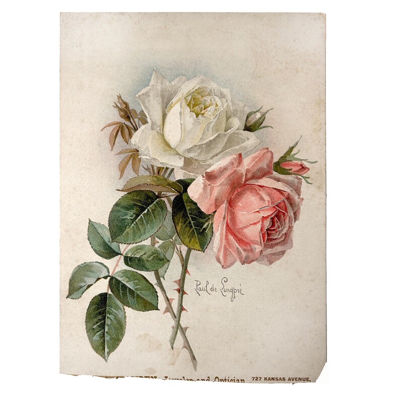 Antique Rose Print - Etsy