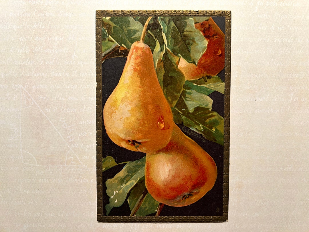 Vintage Pears Postcard Catherine Klein Artist Signed Raphael Tuck ...