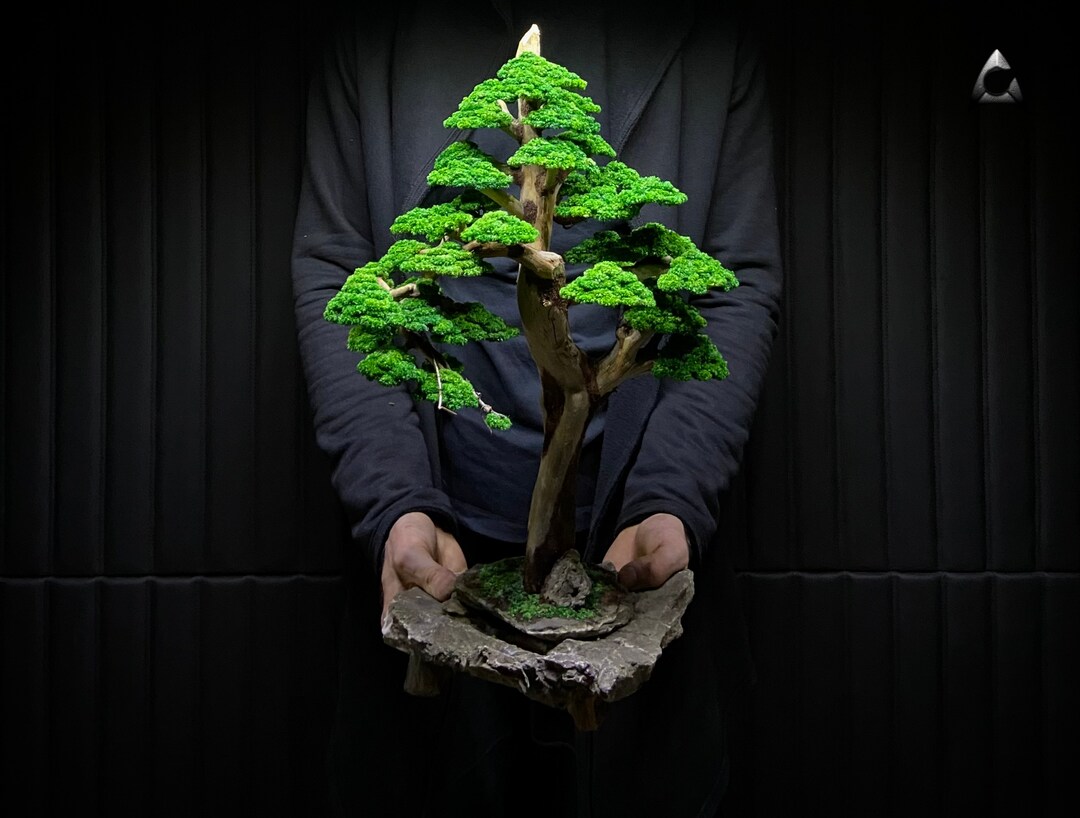 Preserved Bonsai Eternal Moss zero, Natural Trunk , Natural rock - Etsy Polska