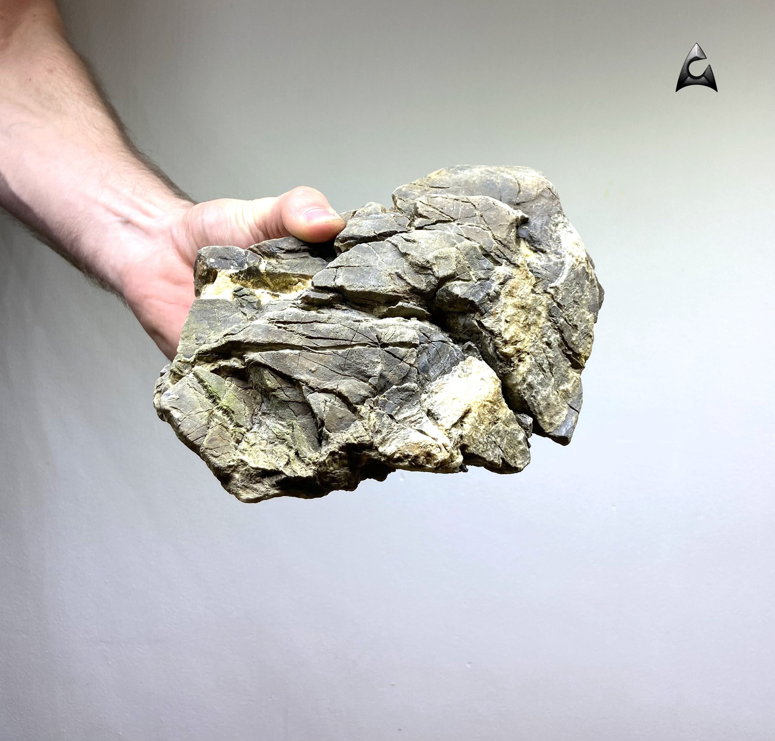 Selected Top-quality Natural Stones for Aquascaping, Penjing, Bonsai ...