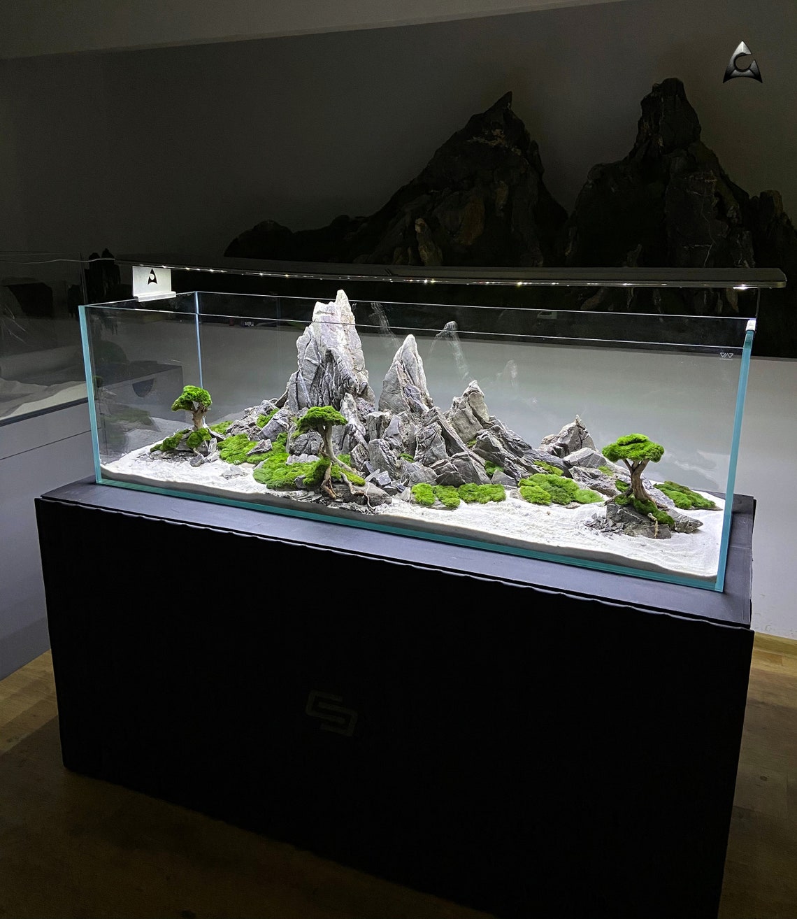 High-quality and Natural Decoration for a Freshwater Aquarium - Etsy