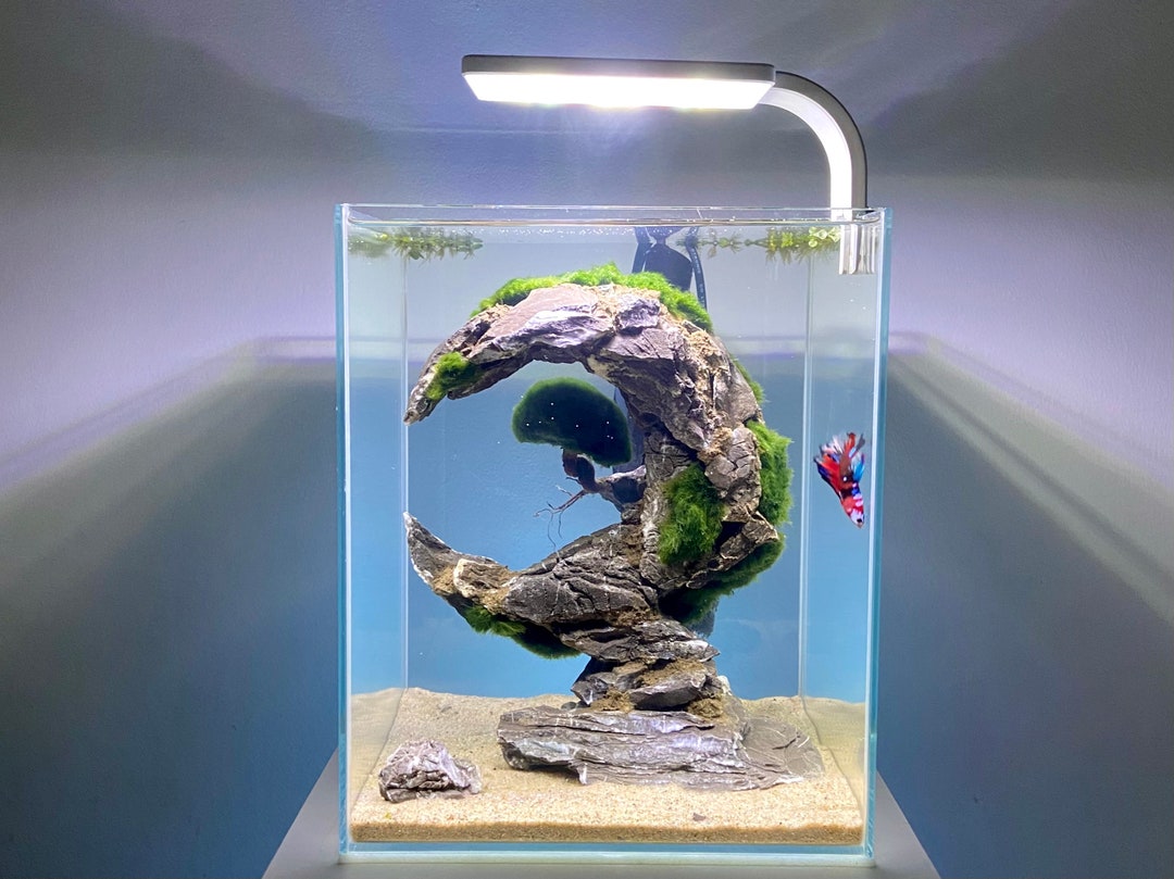 Complete Aquarium Set With Ancient Stone Moon Aquascape Decoration - Etsy
