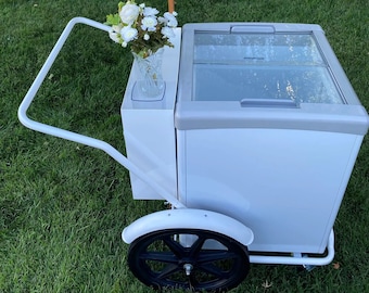 ICE CREAM FREEZER Cart Electric Freezer Cart Pool Cart Frozen Treats ...