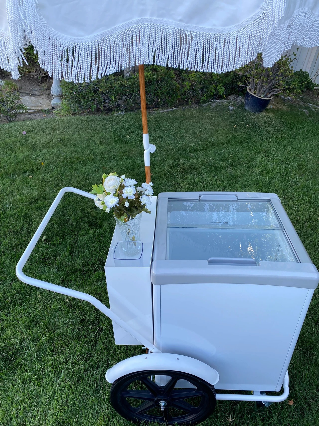 Ice Cream Freezer Push Cart Electric Freezer Cart Pool Cart Beach Cart