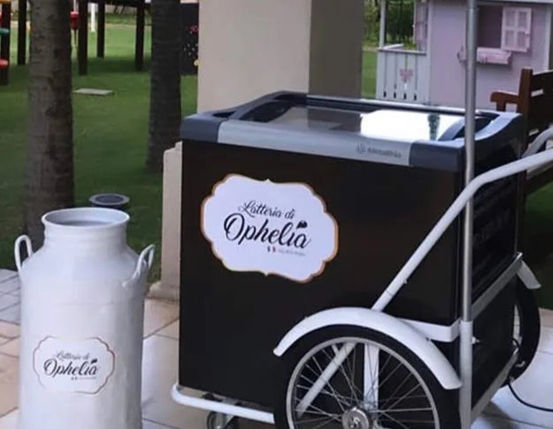 ICE CREAM FREEZER Cart Electric Freezer Cart Pool Cart Frozen Treats ...