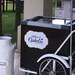 ICE CREAM FREEZER Cart Electric Freezer Cart Pool Cart Frozen Treats ...