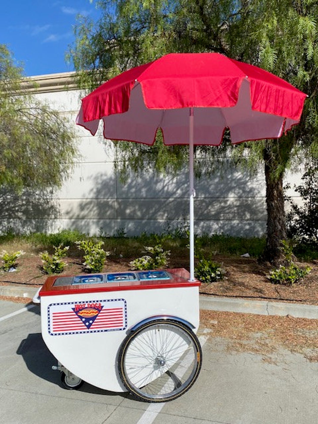 HOT DOG CART Updated Trendy Hot Dog Mobile Cart Electric Hot Dog Cart ...